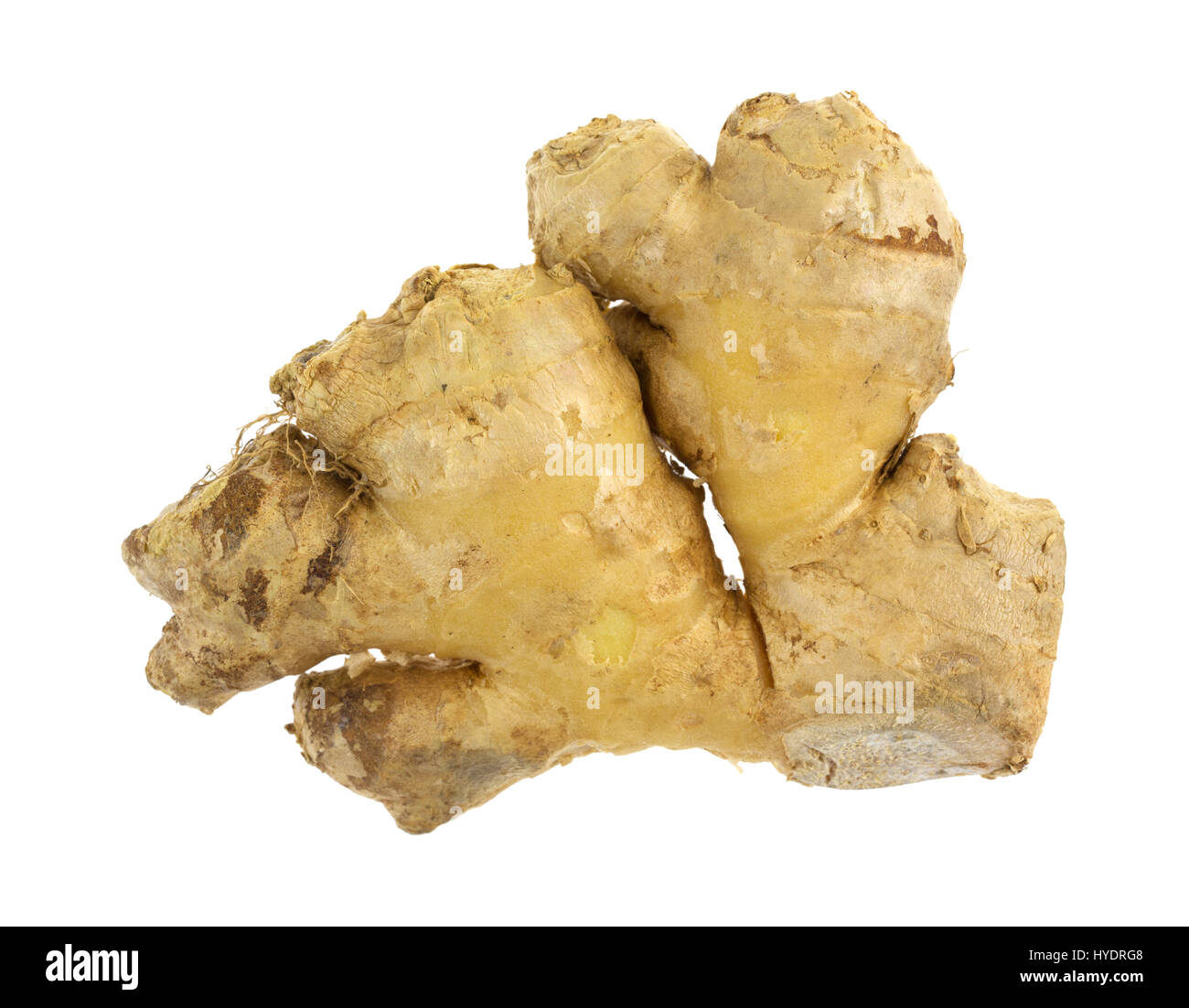 Top view of a single ginger root isolated on a white background Stock ...