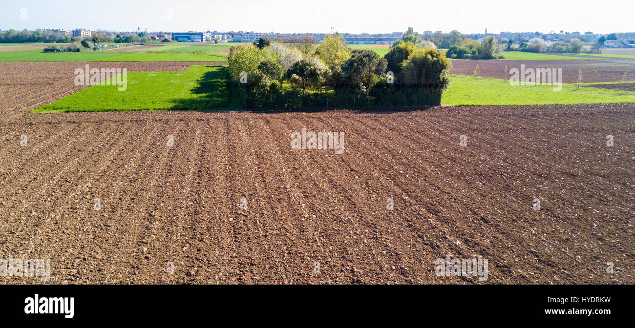 Nature and landscape: Aerial view of a field and trees, cultivation ...
