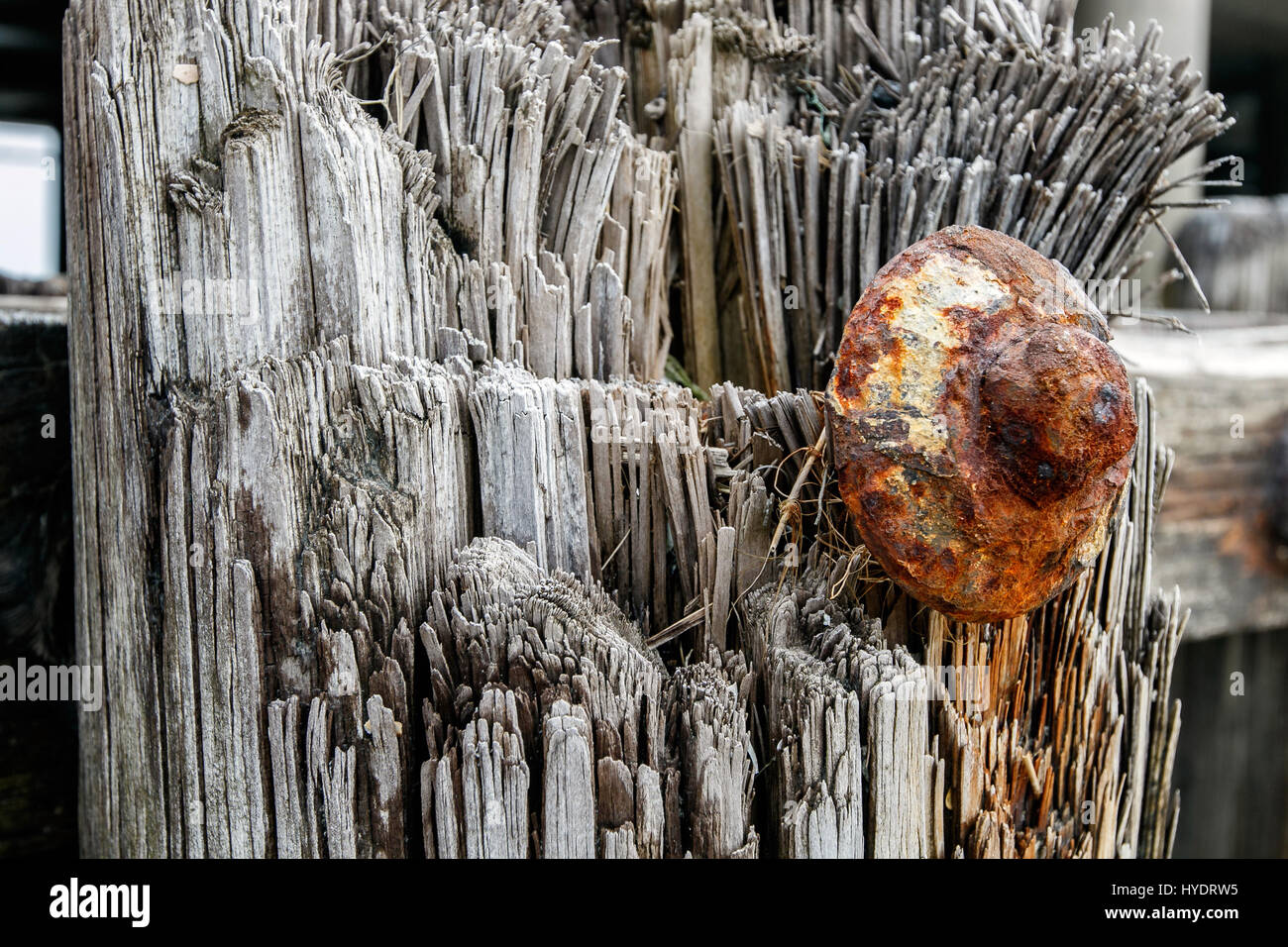 Wooden pylon hi-res stock photography and images - Alamy