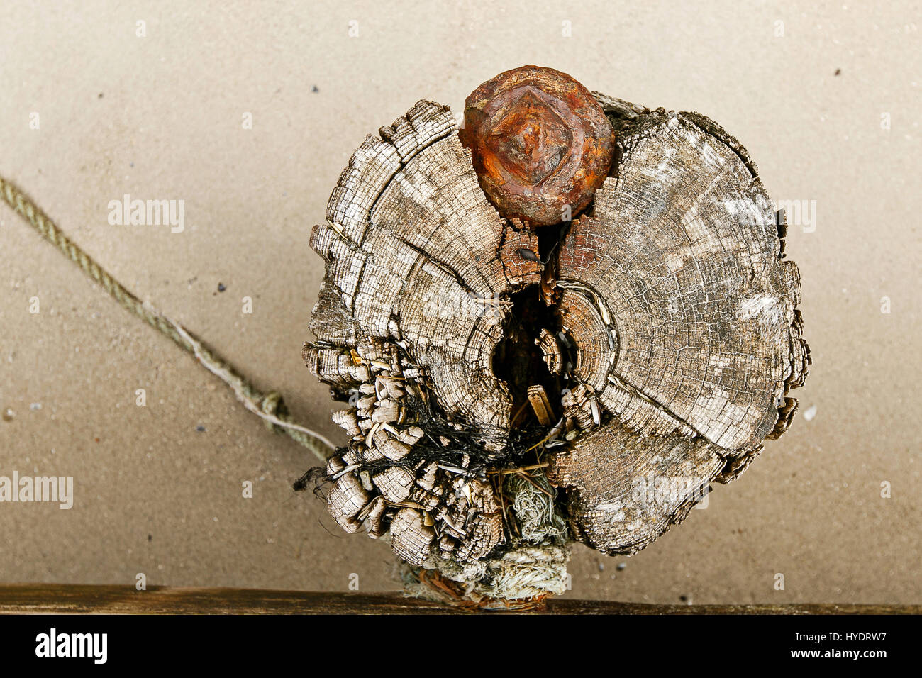 Wooden pylon hi-res stock photography and images - Alamy