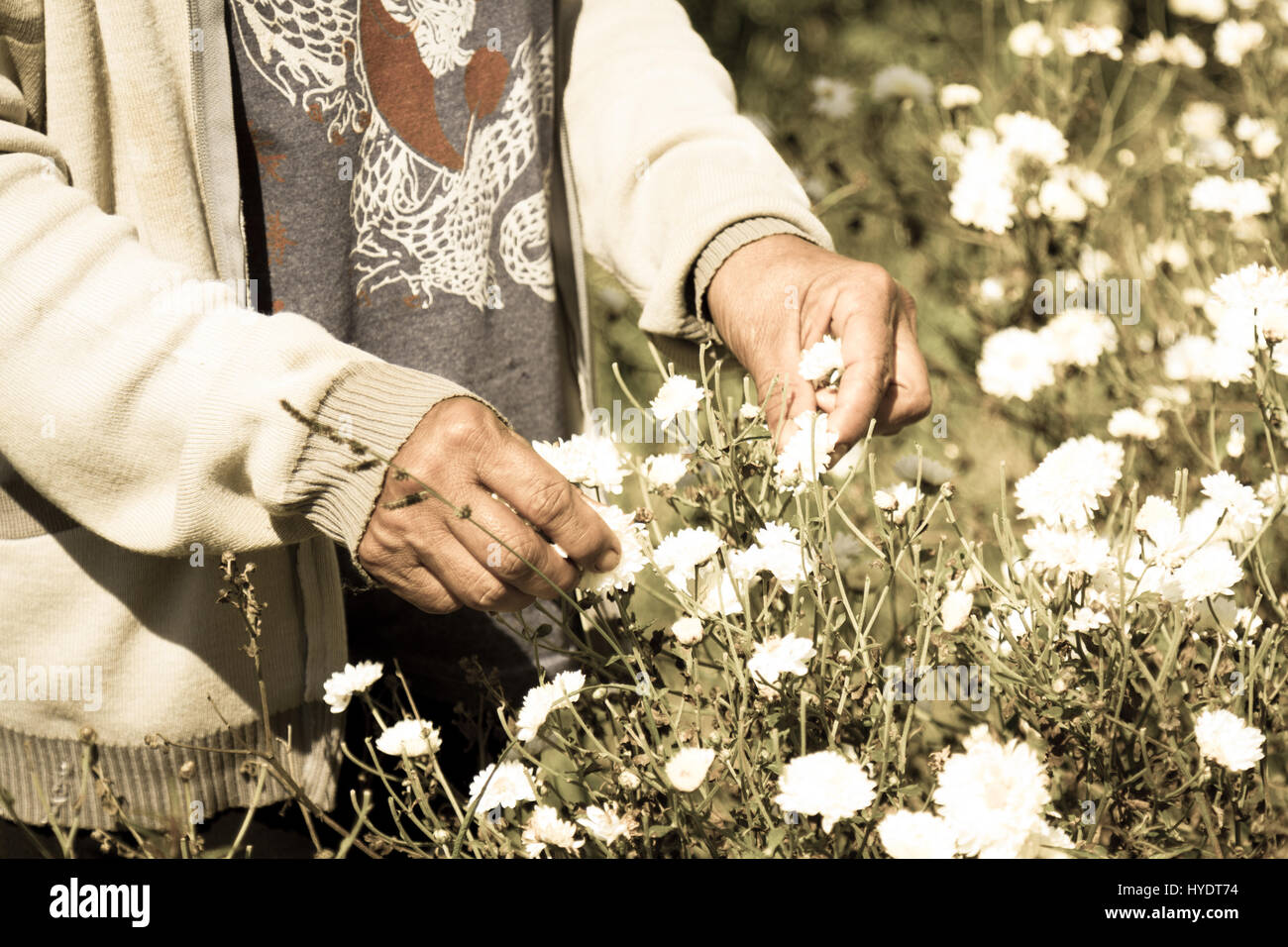 Retro tone hi-res stock photography and images - Alamy