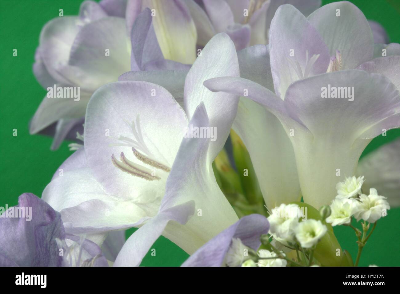 Explosion in a Pollen Factory Stock Photo - Alamy