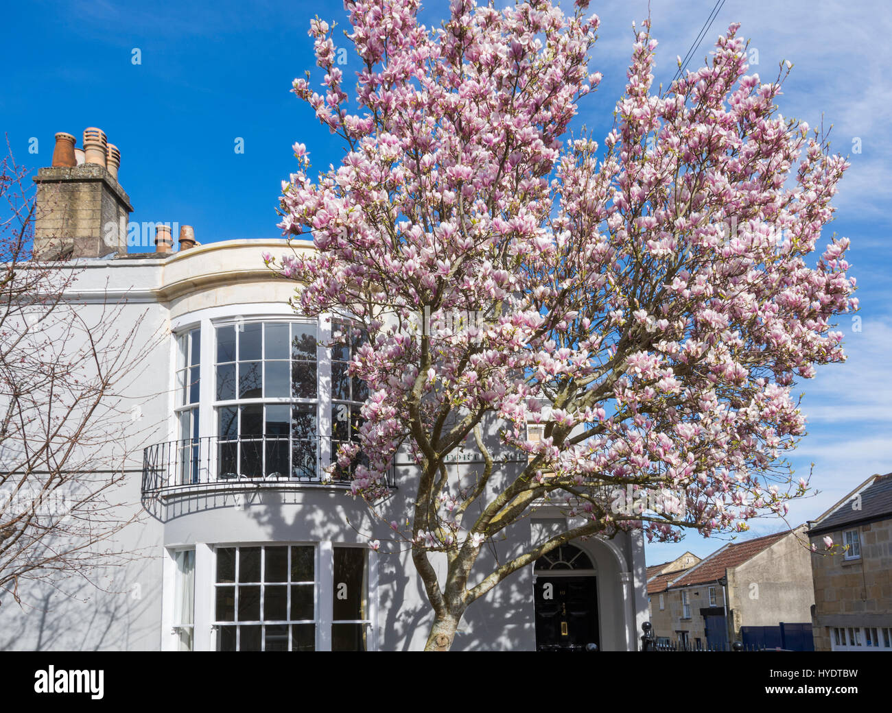 Springtime Blossom in the pretty city of Bath, England, UK Stock Photo ...