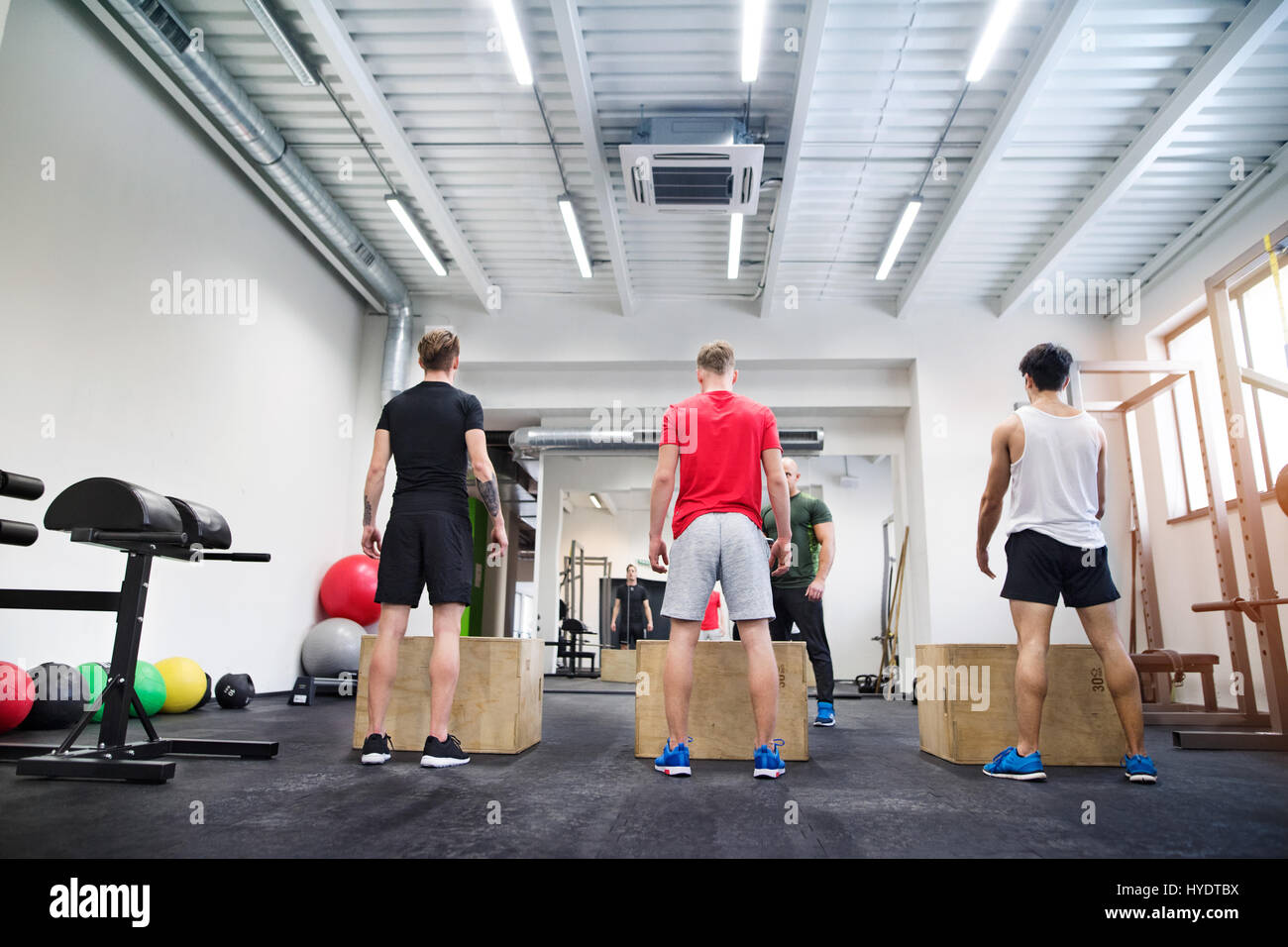 Men in gym with trainer exercising on fit boxes Stock Photo - Alamy