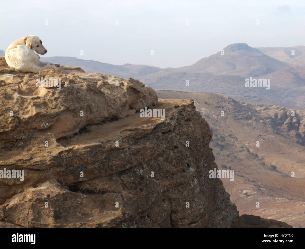 Oriente medio jordan hi-res stock photography and images - Alamy
