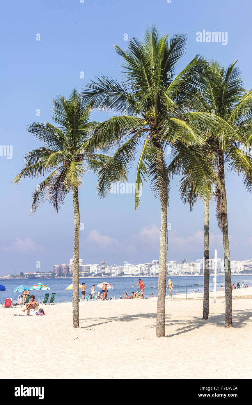 Brazil, Rio de Janeiro: Palm trees on the Leme beach on a sunny morning ...