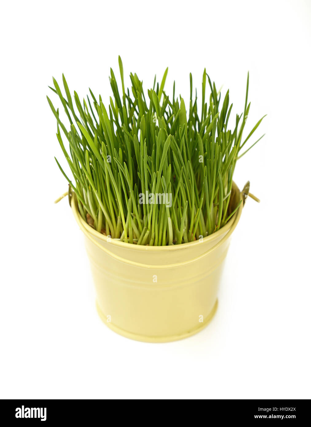 Grass Cut Out Stock Images & Pictures - Alamy