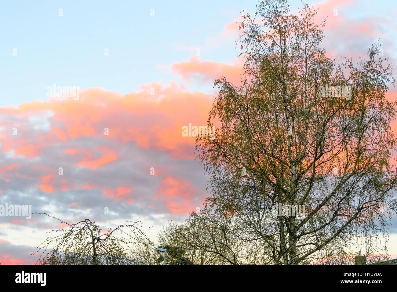 Red Sky At Night Shepherds Delight