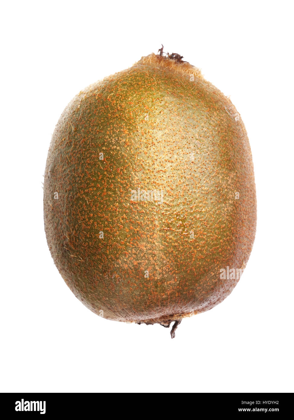 One kiwi isolated on white background Stock Photo - Alamy