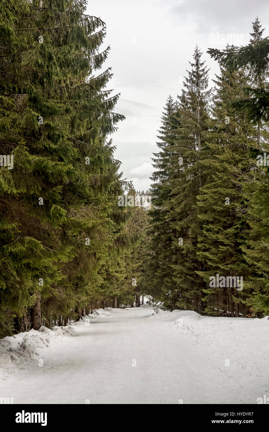 Clearing path of snow hi-res stock photography and images - Alamy