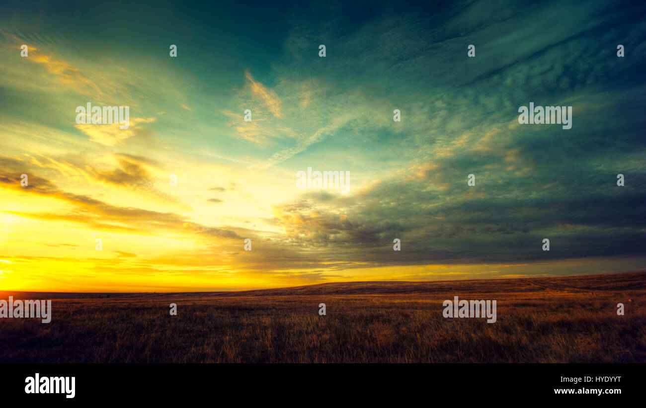 Sunset in the field Stock Photo - Alamy
