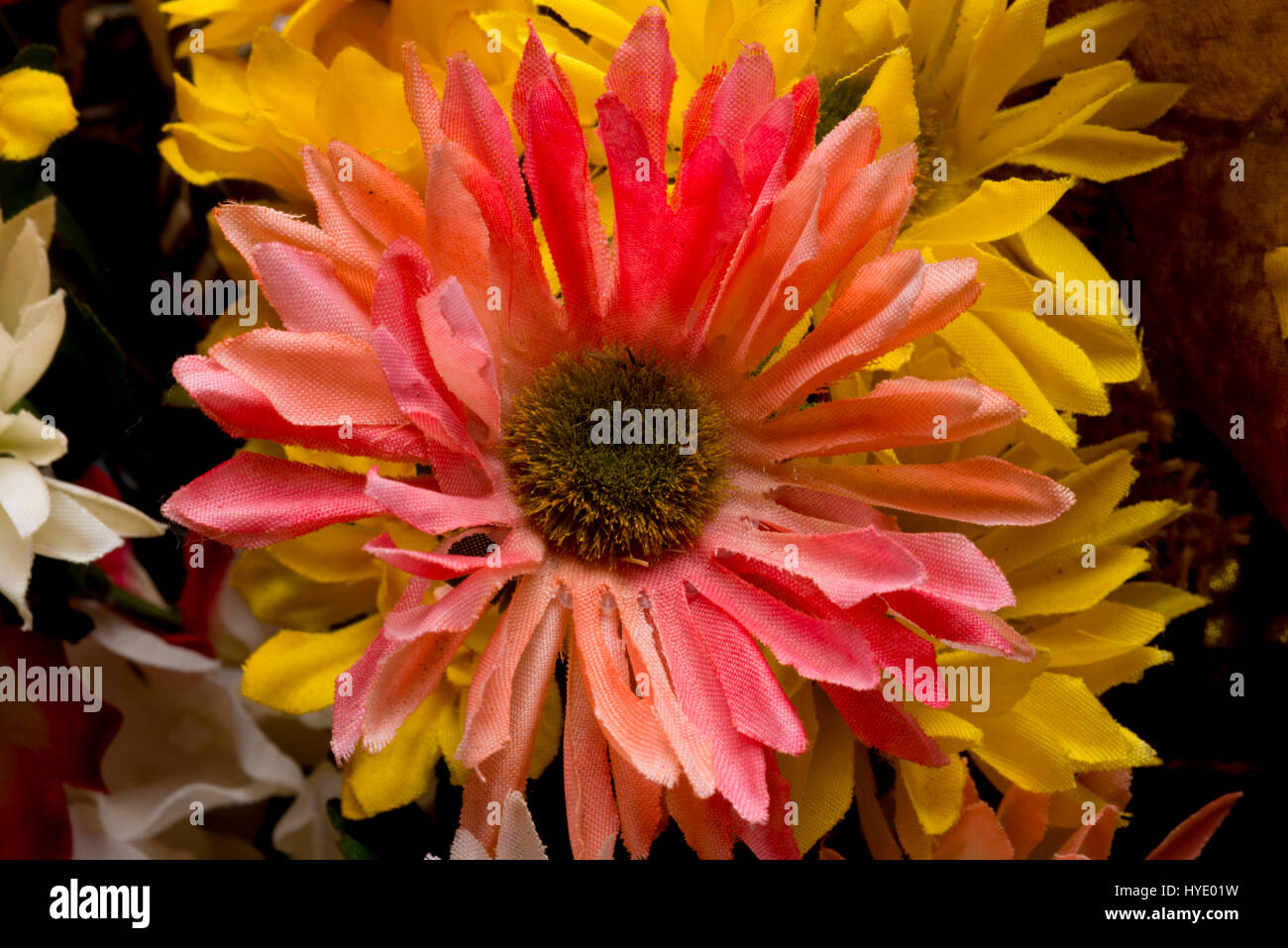 decorative floral picks Stock Photo - Alamy