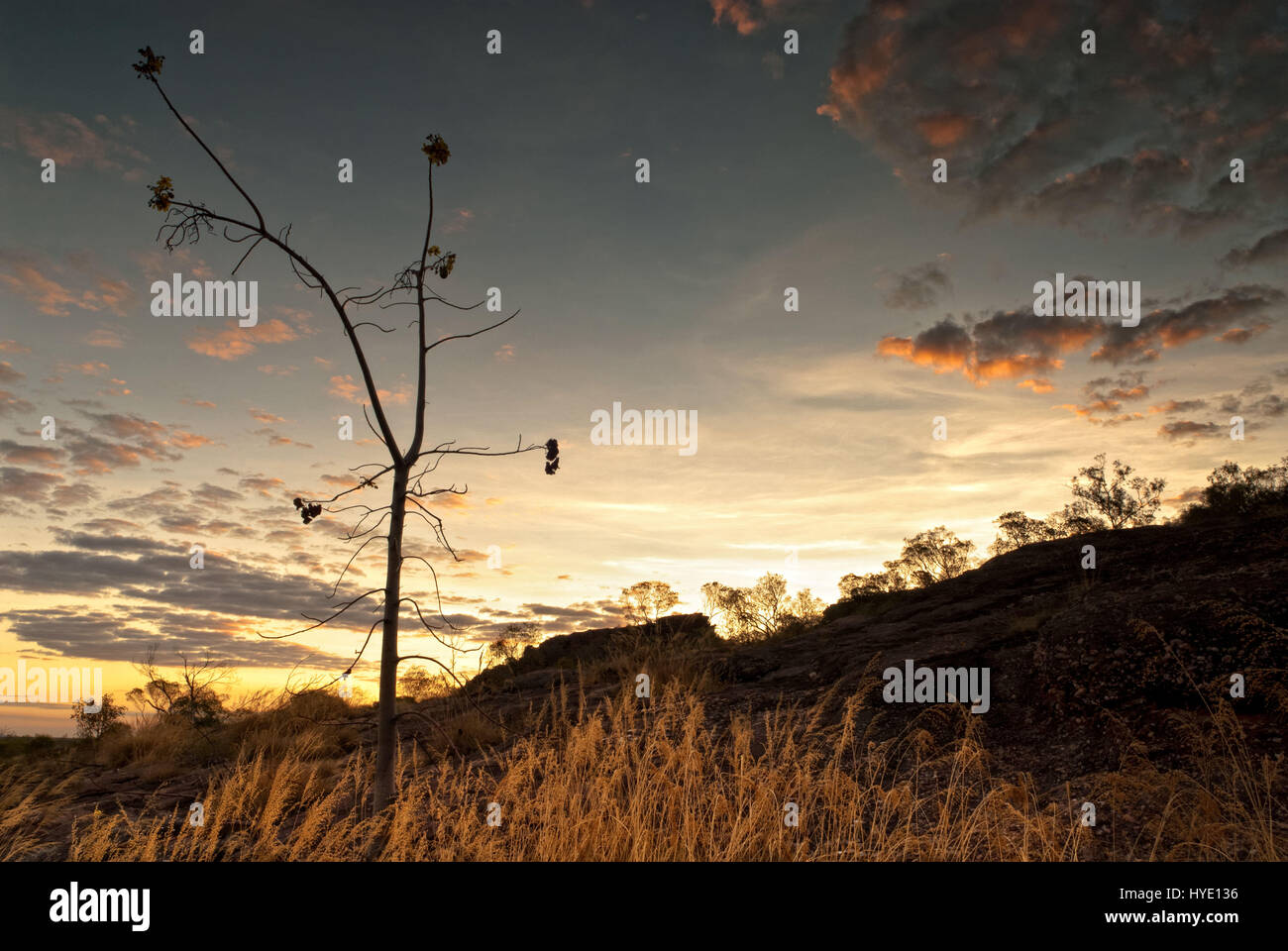 Sun scorched hi-res stock photography and images - Alamy