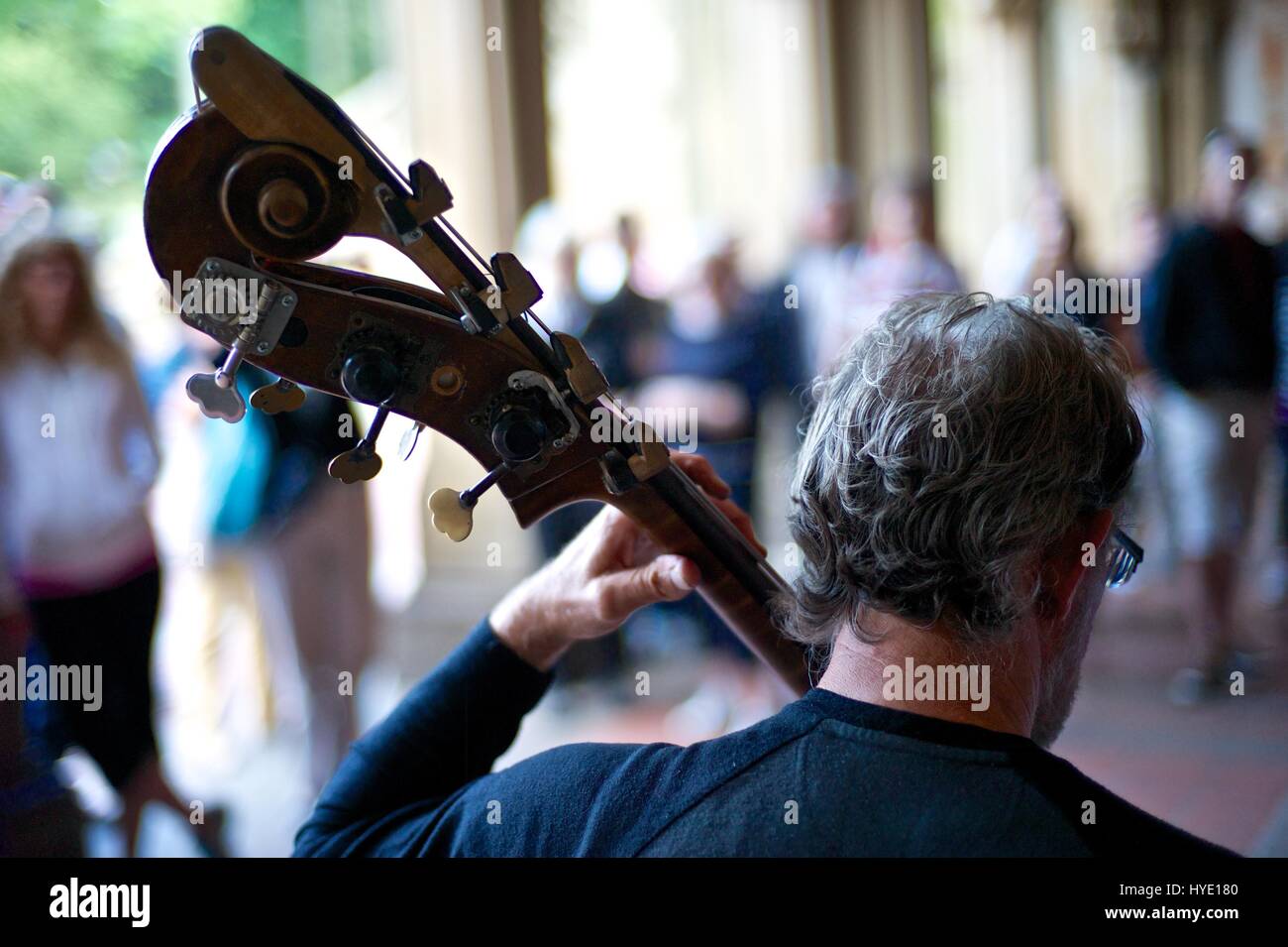 Cello head hi-res stock photography and images - Alamy