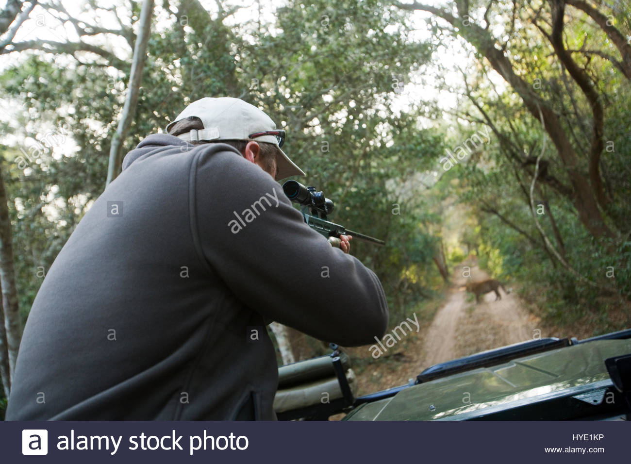 Tranquilizer High Resolution Stock Photography and Images - Alamy