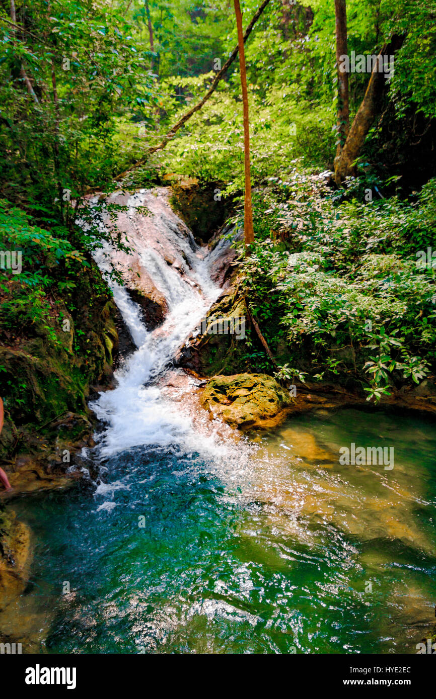 The beautiful waterfall in deep forest Stock Photo - Alamy