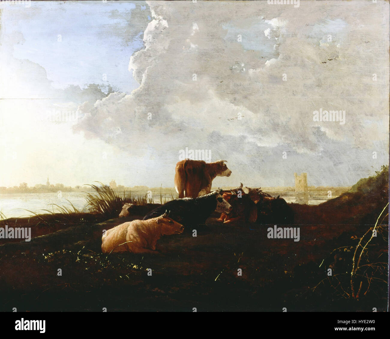 An artwork by Aelbert Cuyp, depicting cattle grazing near a river. The ...