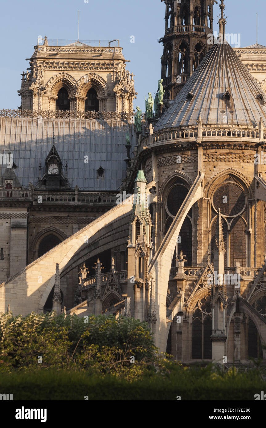 France, Paris, Notre Dame Cathedral, apse with flying buttresses Stock ...