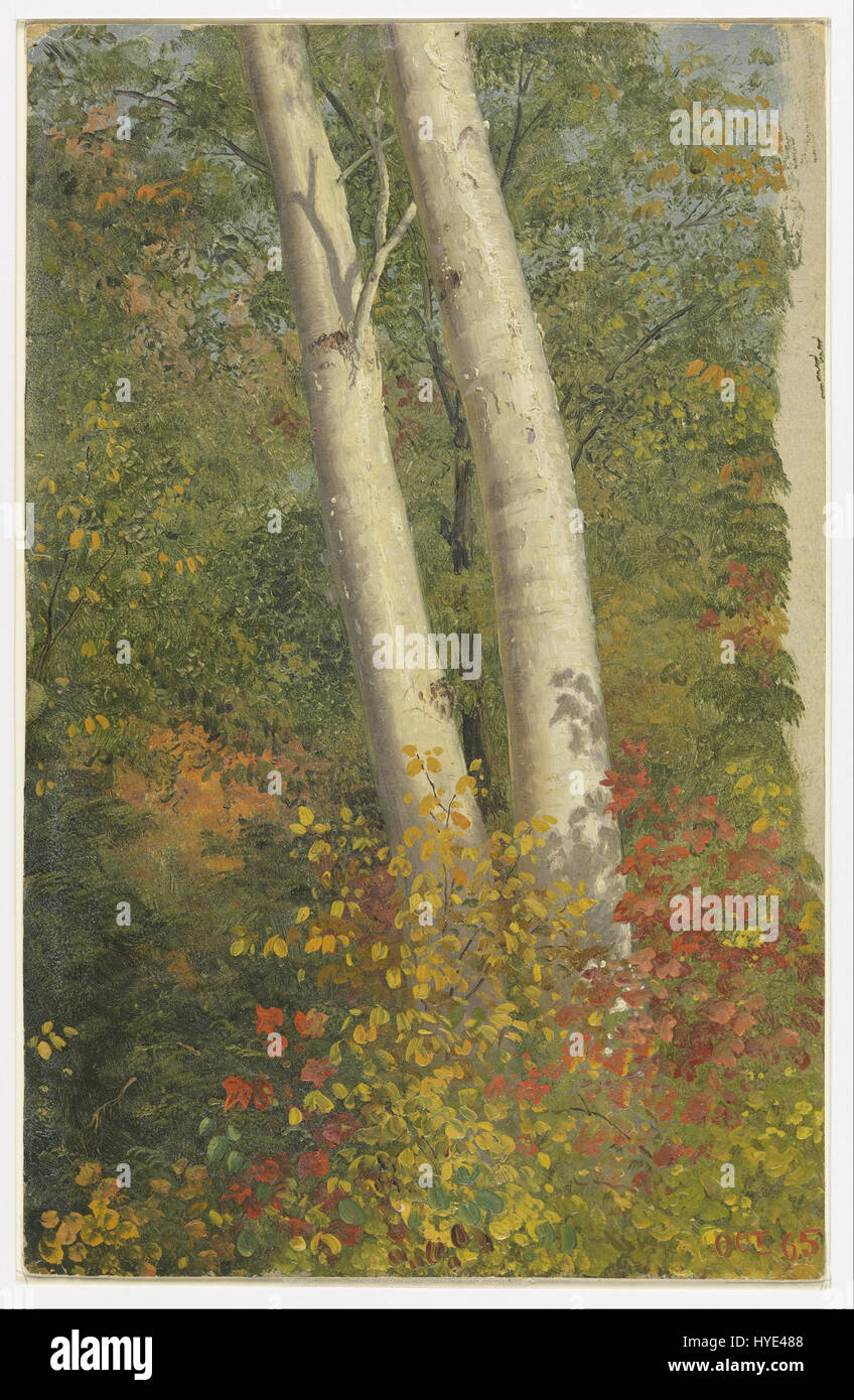 'Birch Trees in Autumn' by Frederic Edwin Church is a renowned ...
