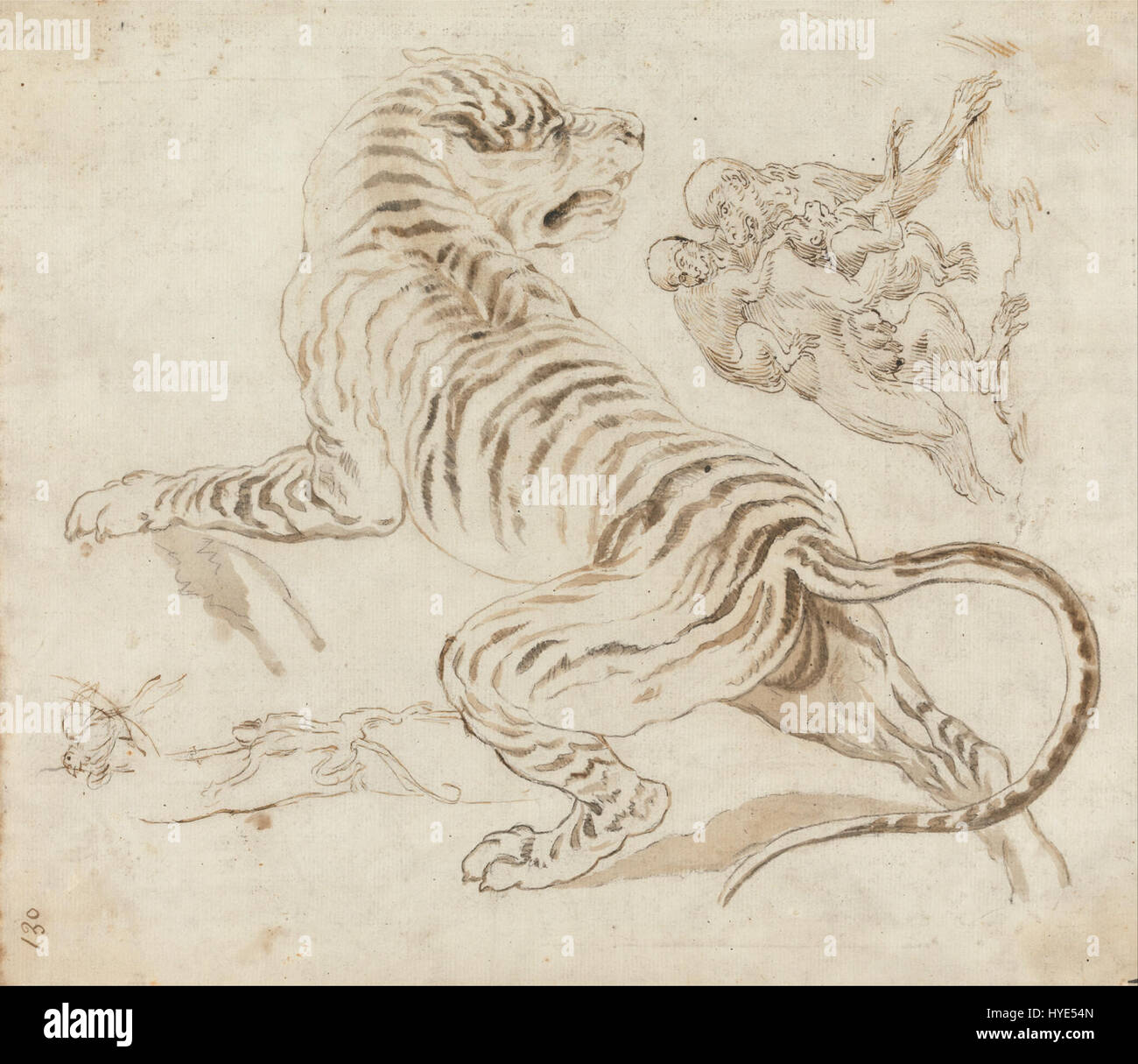 James Northcote’s study for 'A Tiger and Monkeys' explores the natural ...
