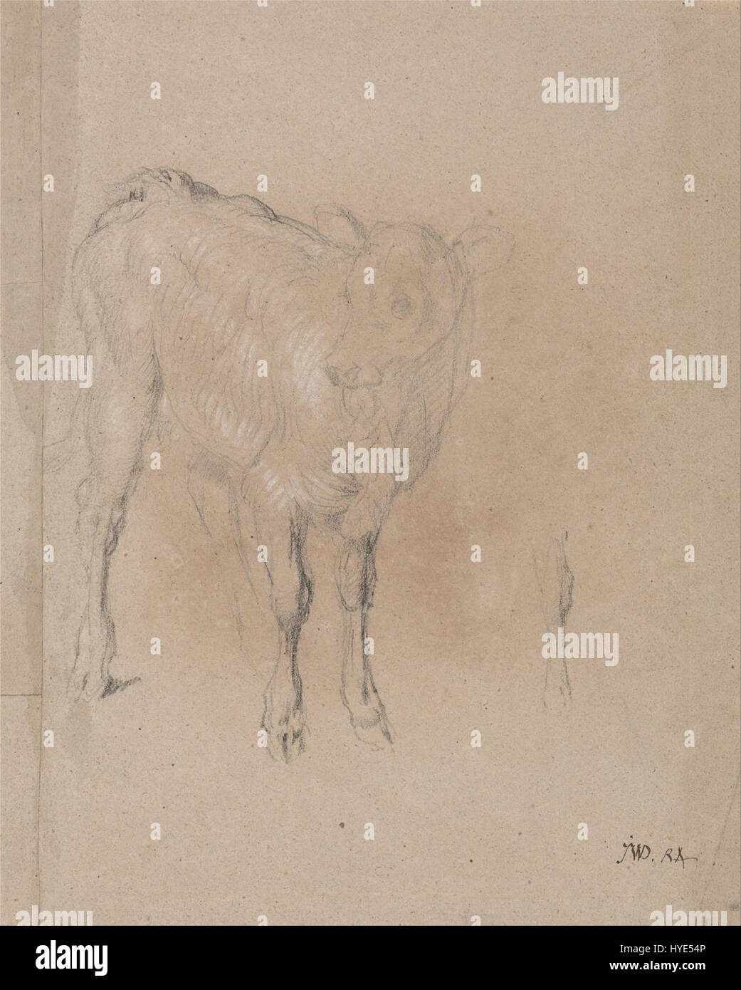James Ward’s 'Study of a Calf' is an example of his detailed animal ...
