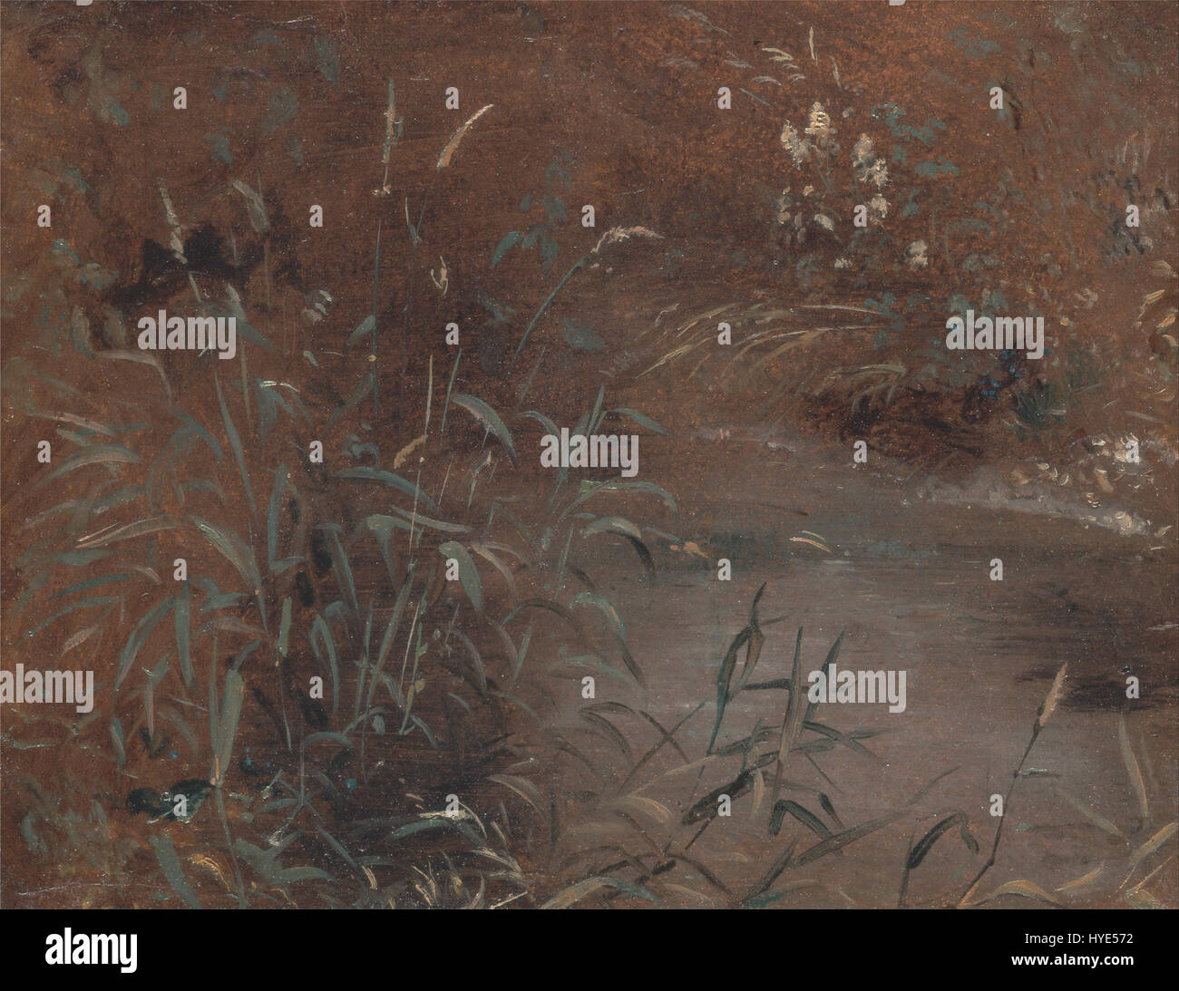 John Constable’s painting *Rushes by a Pool* captures the tranquility ...