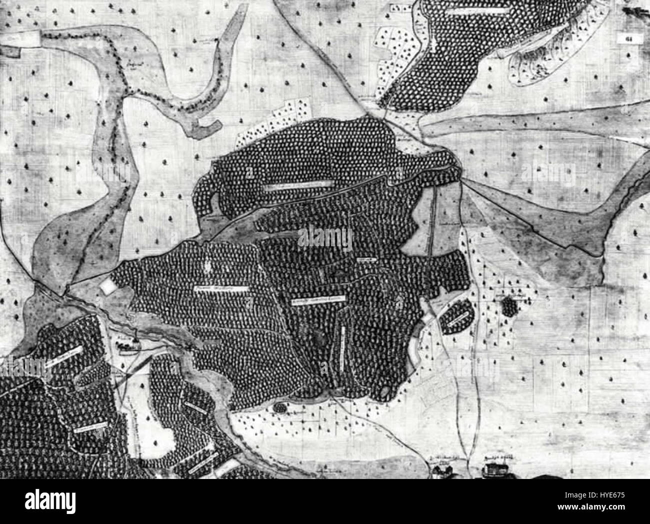 This historical map, part of the Kieser forest maps, focuses on the ...