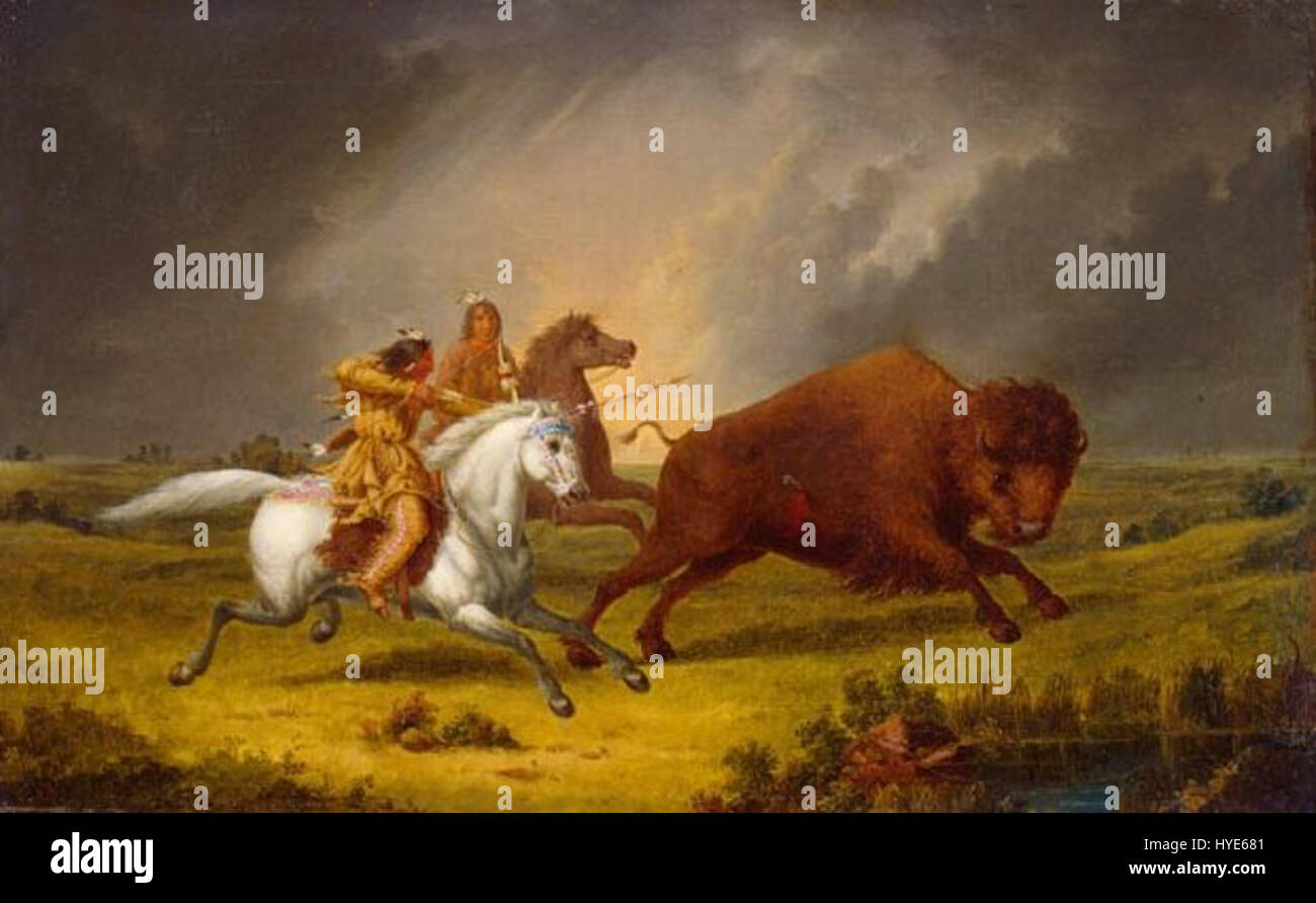 A depiction of Assiniboine Native American hunters on horseback hunting ...