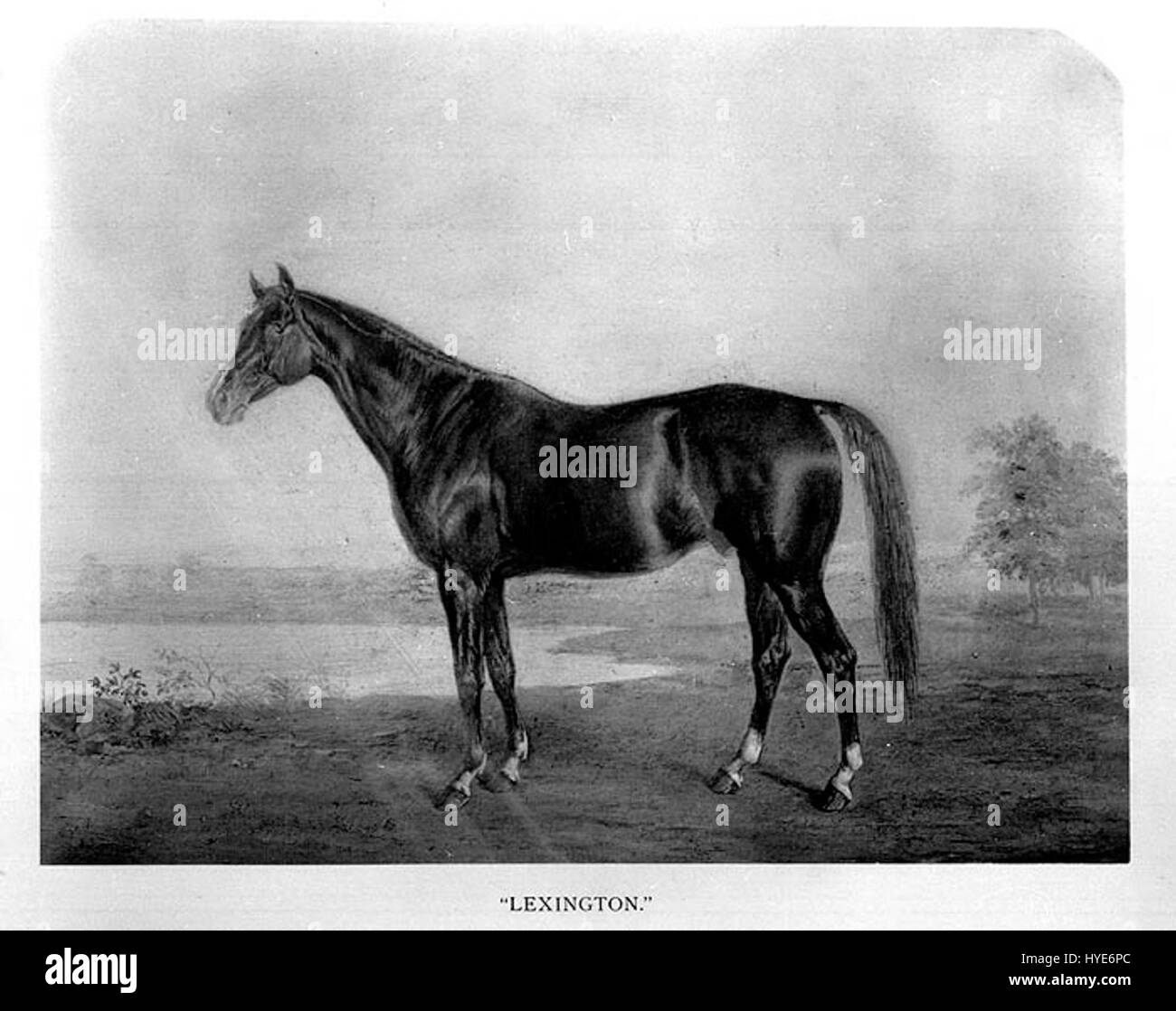 This historical piece, created in 1898, depicts the famous Lexington ...