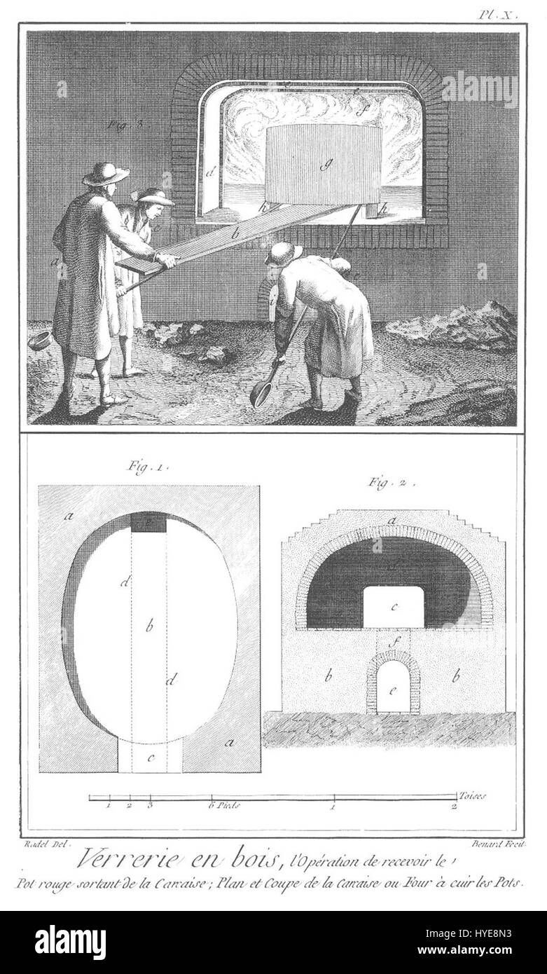 Showcases detailed botanical drawings Black and White Stock Photos ...