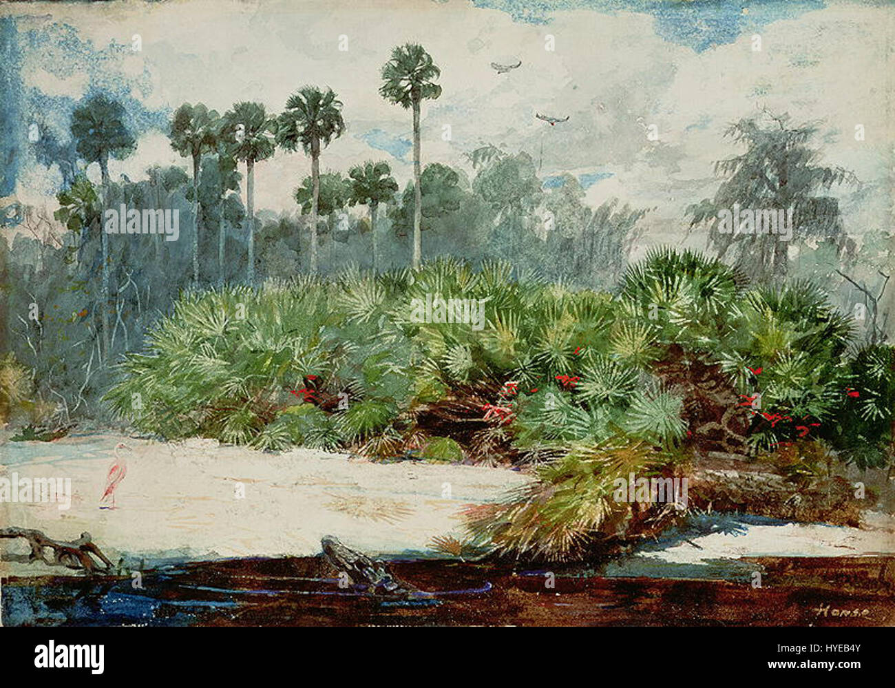 Winslow Homer's painting 'Florida Jungle' captures the dense and wild ...