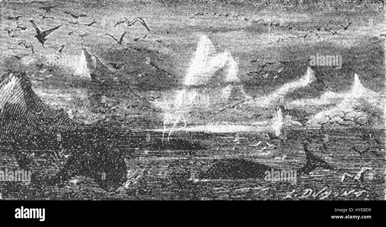 'The English at the North Pole' by Riou and Montaut depicts an ...