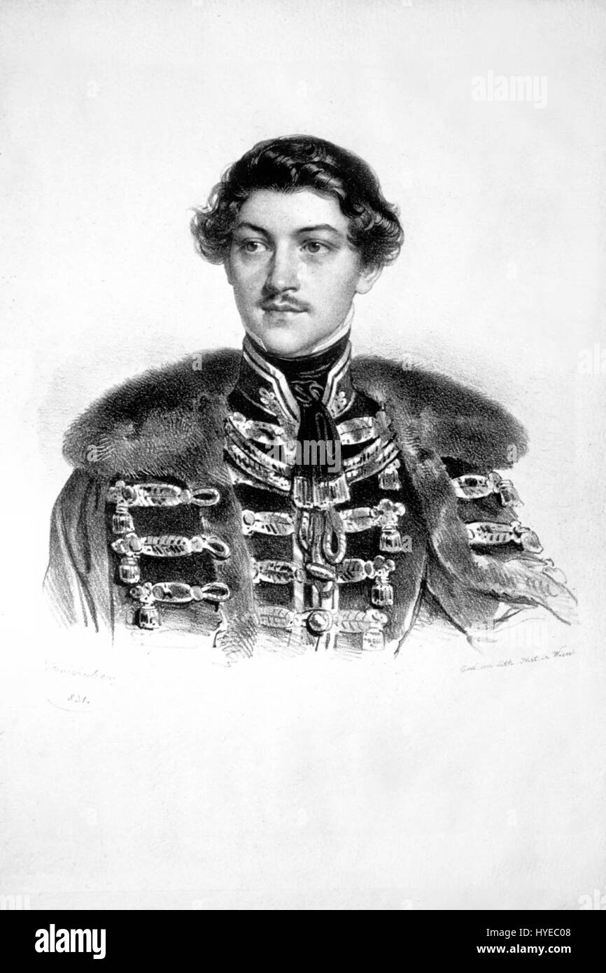 Alexander Lazar von Szarhegy’s lithograph presents a detailed and ...