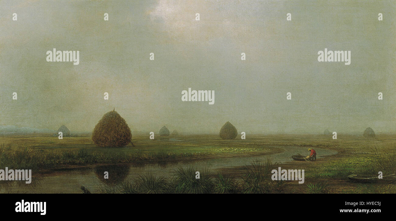 Martin Johnson Heade was an American painter known for his landscapes ...