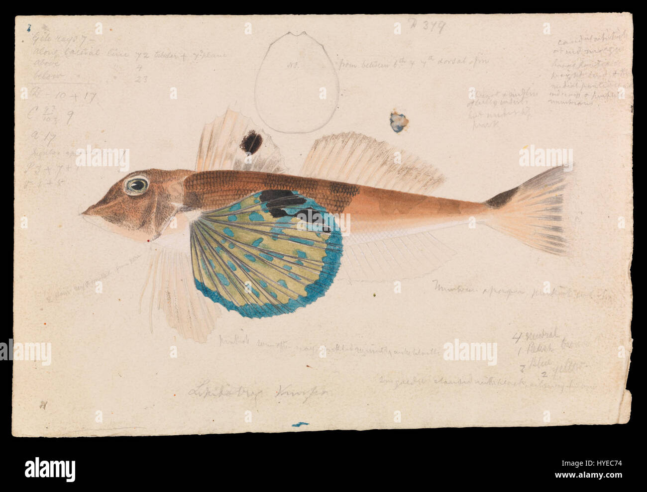 Arthur bartholomew hi-res stock photography and images - Alamy