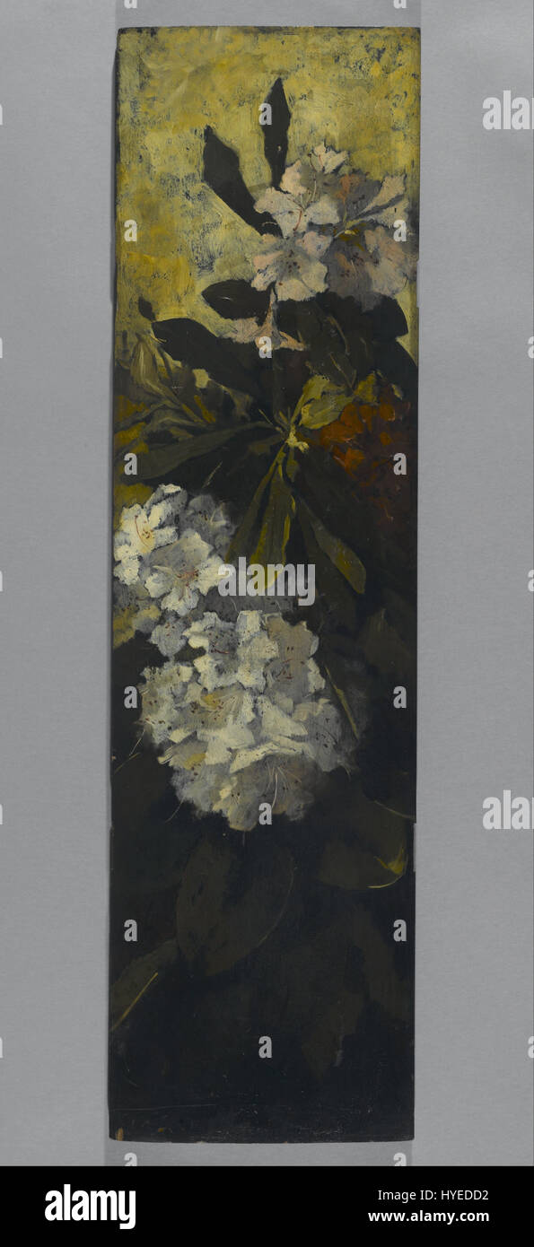 Elizabeth Boott Duveneck Rhododendrons Google Art Project Stock Photo ... Elizabeth Boott Duveneck Rhododendrons Google Art Project Stock Photo ...