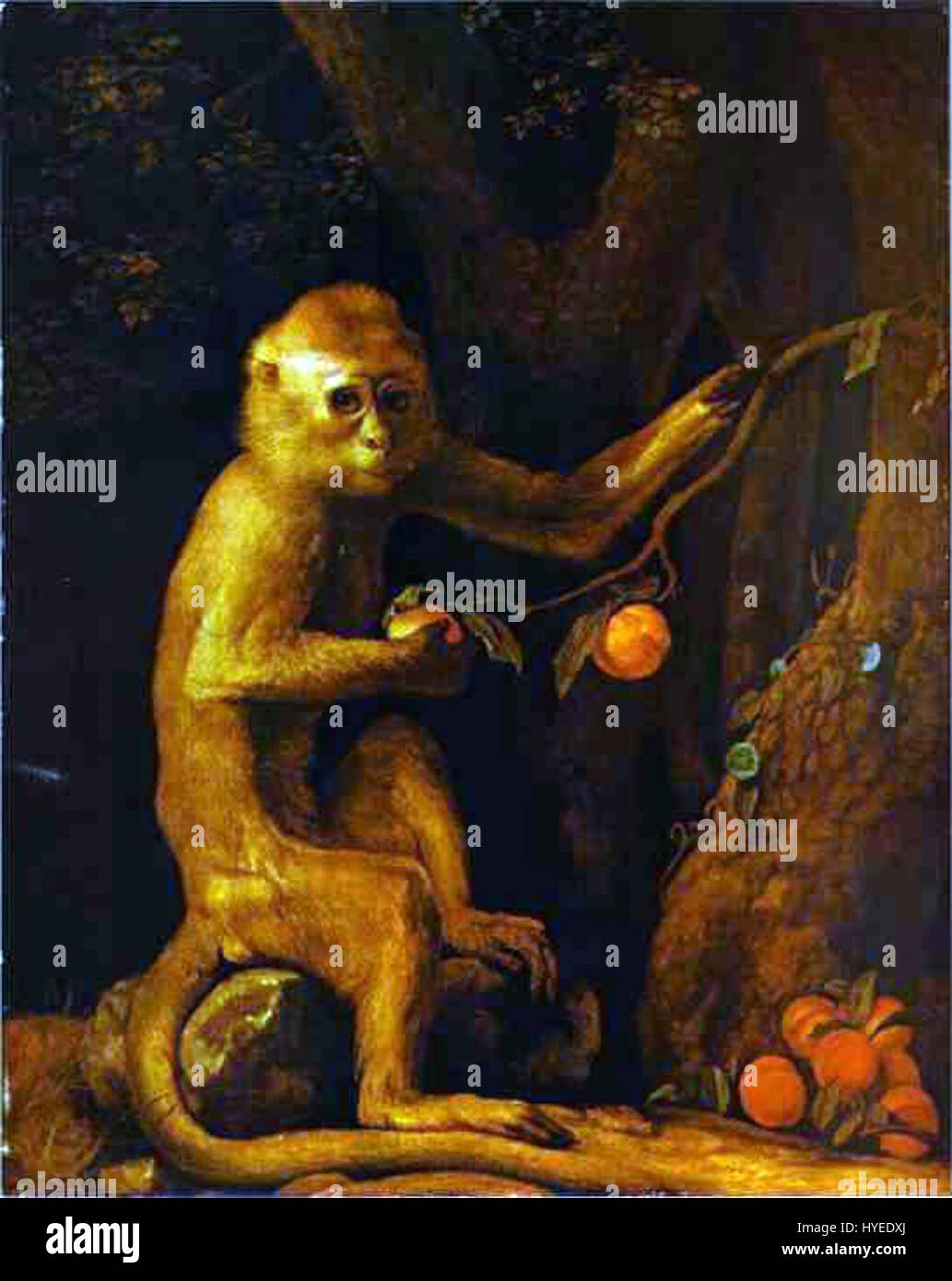'Green Monkey' by George Stubbs is a renowned painting of a monkey ...