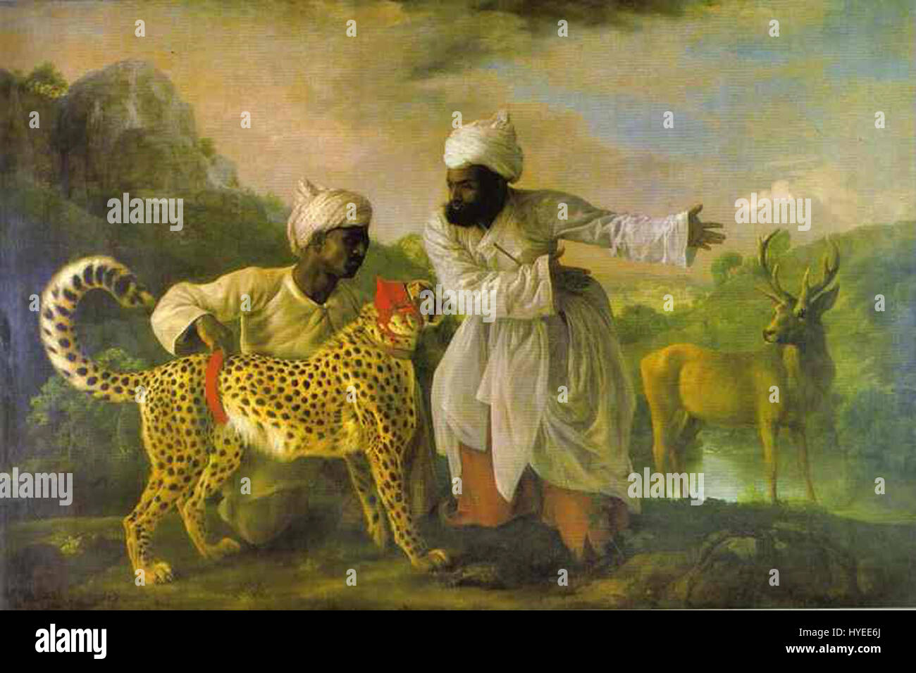 George stubbs, cheetah and stag hi-res stock photography and images - Alamy