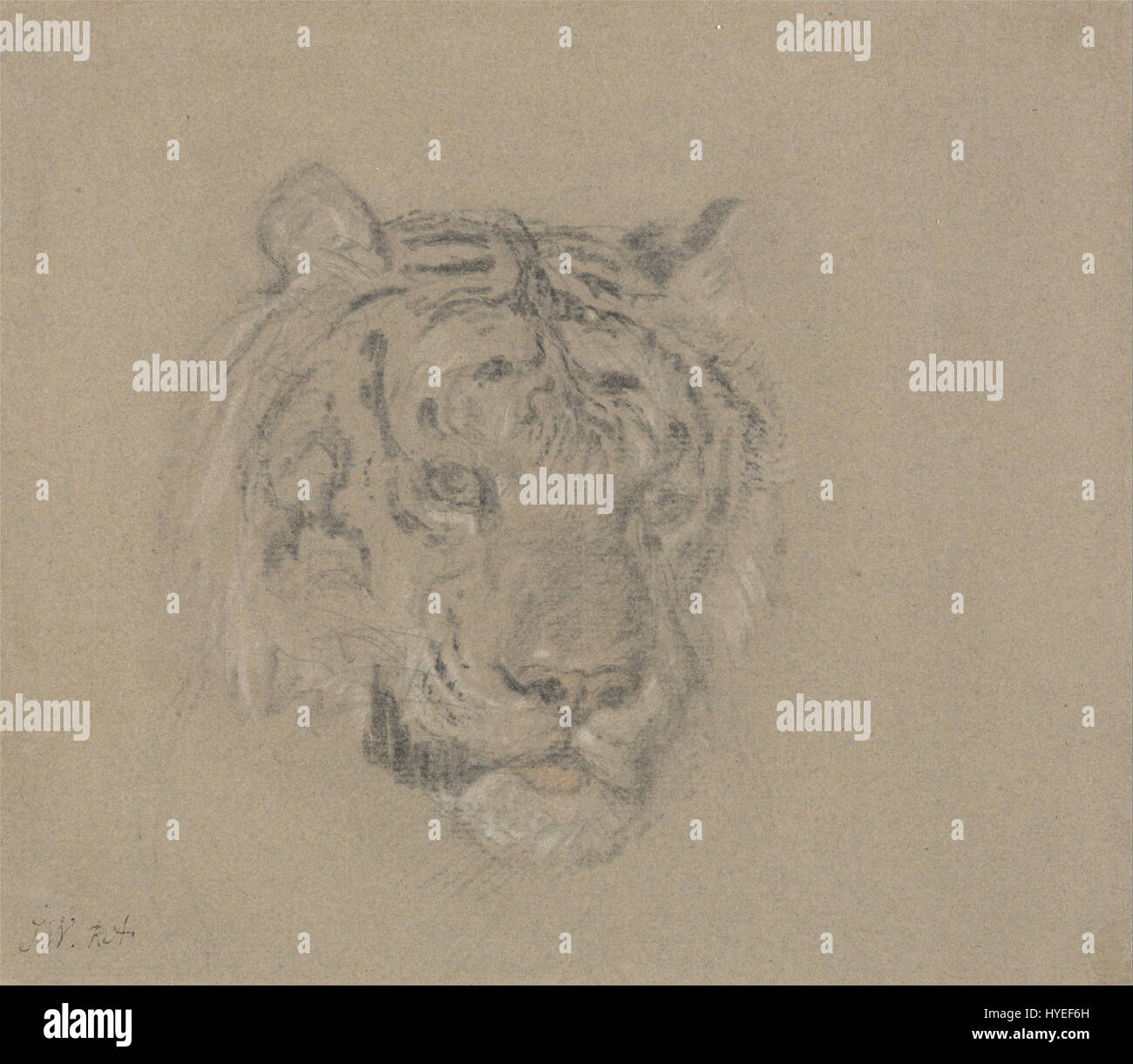 James Ward's painting 'Head of a Tiger' offers a detailed and realistic ...
