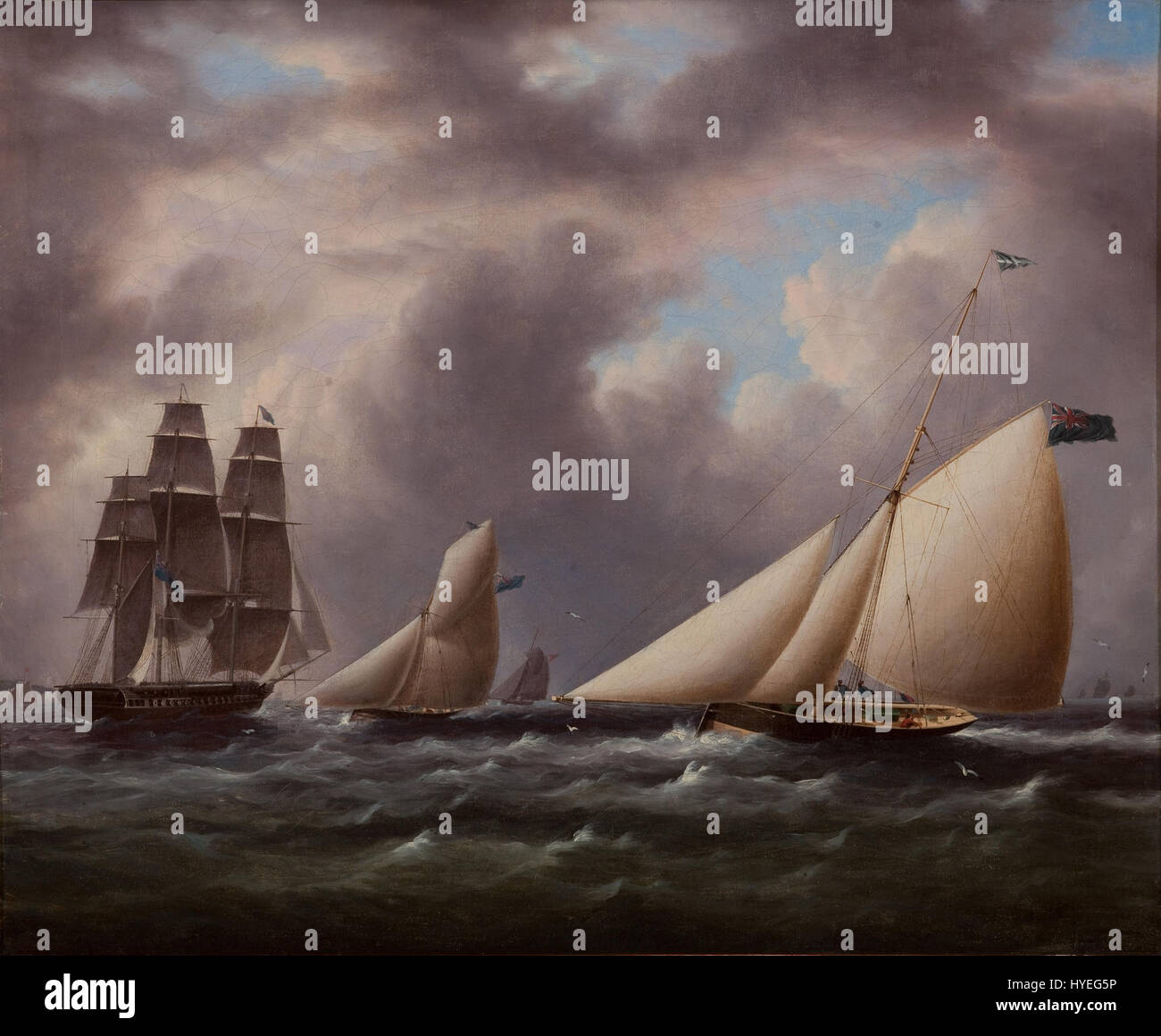 English cutters hi-res stock photography and images - Alamy