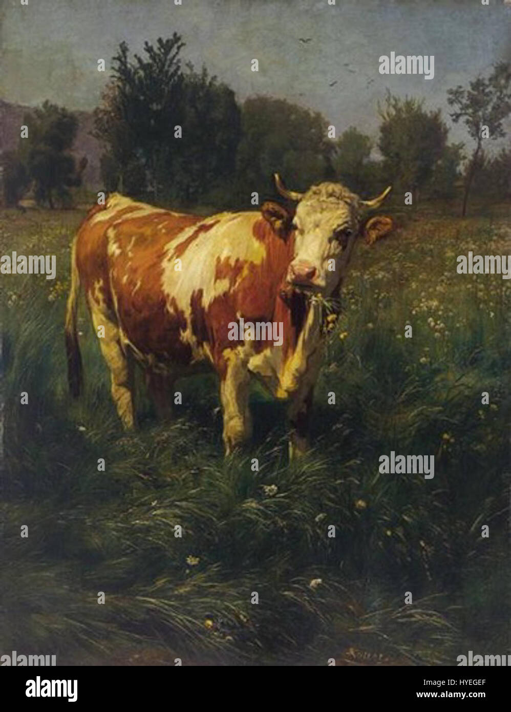 Kuh design hi-res stock photography and images - Alamy