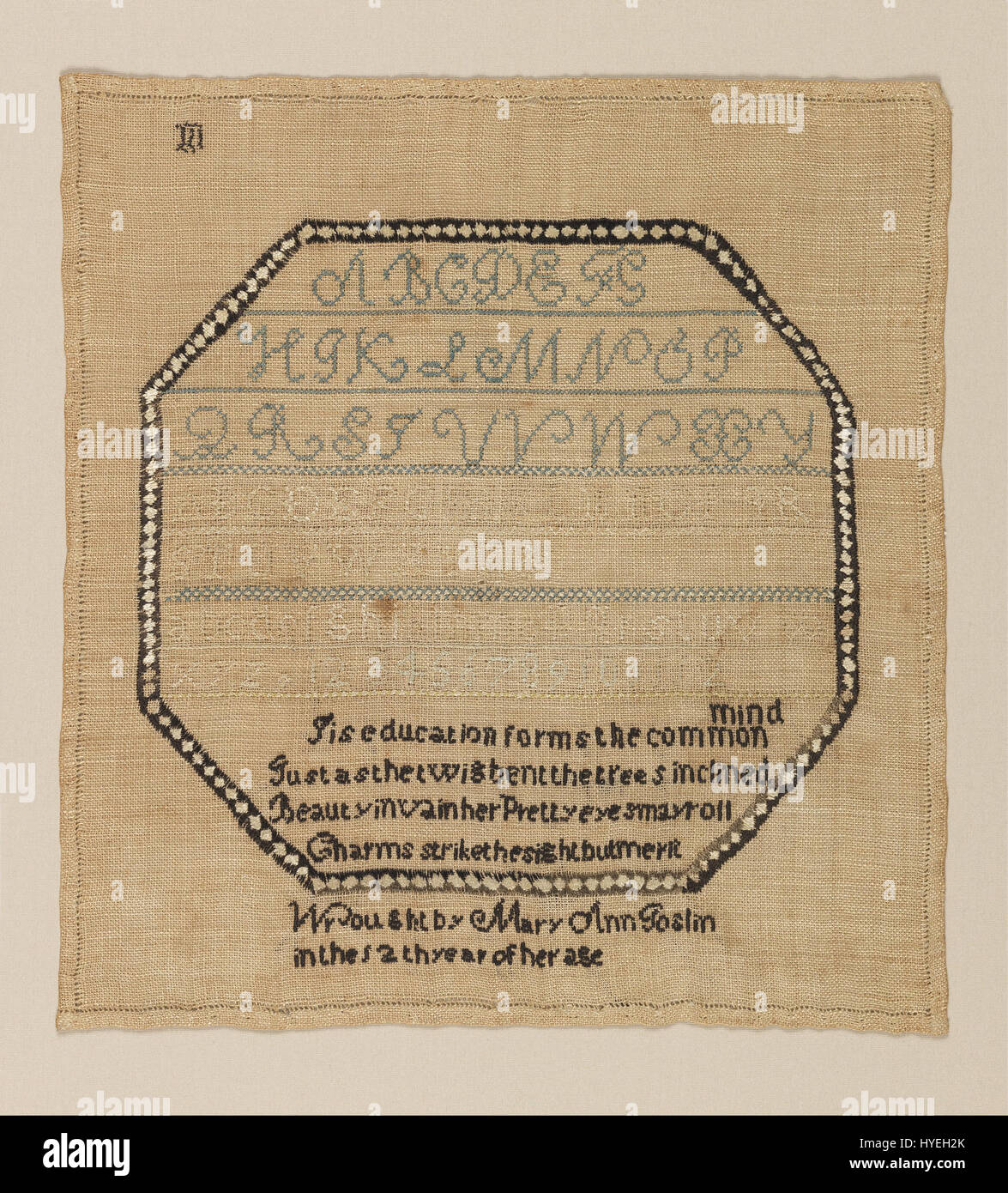 The Mary Ann Goslin Sampler is a textile work, showcasing intricate ...