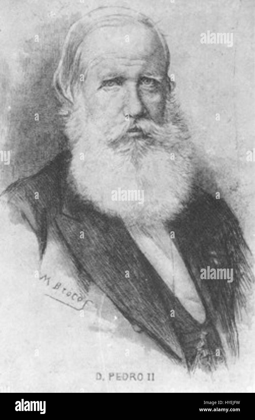 'Pedro II por Modesto Brocos' is a portrait of Emperor Pedro II of ...