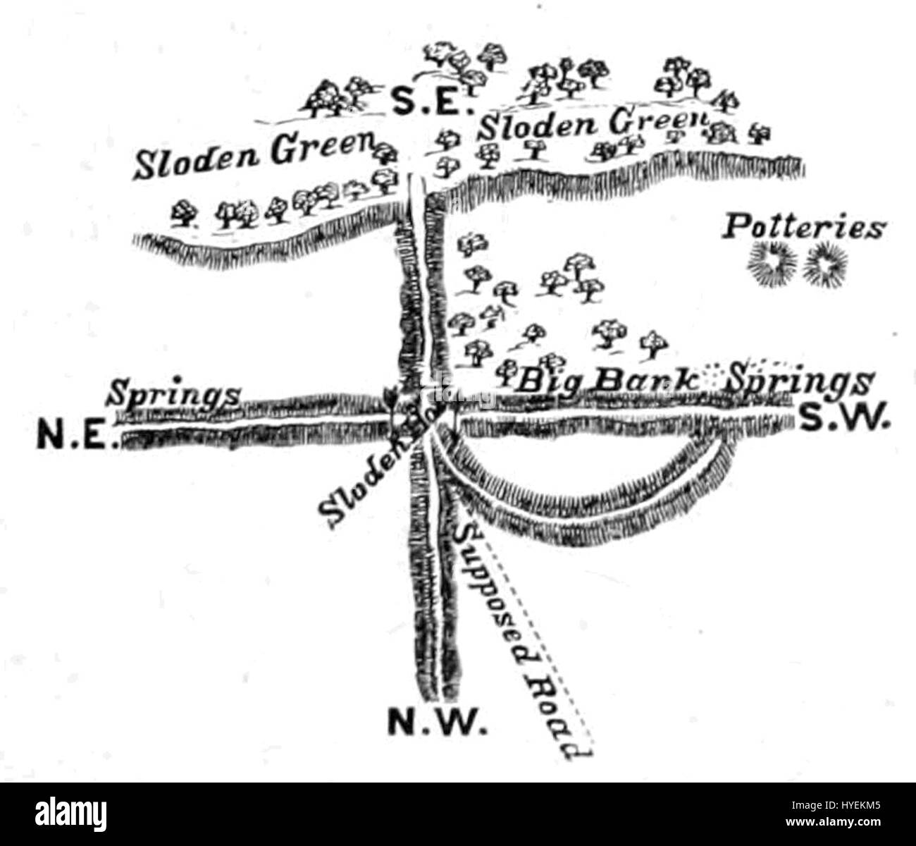 Detailed natural history work Black and White Stock Photos & Images - Alamy