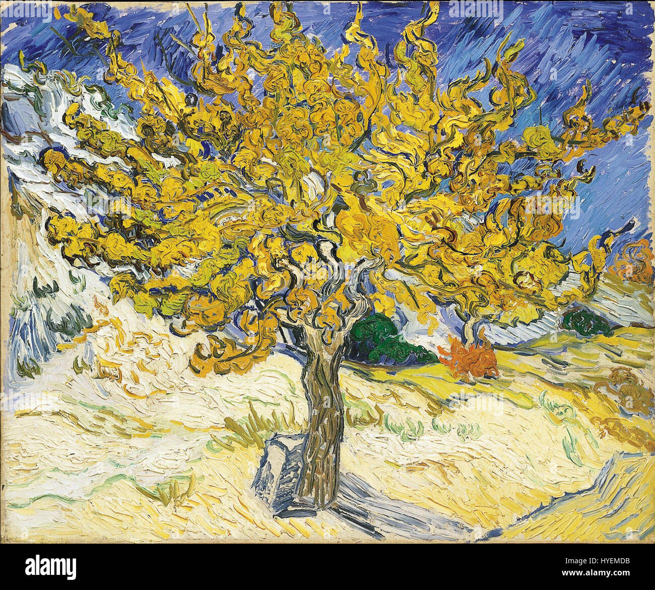 'Moerbeiboom' by Vincent van Gogh is a painting from 1889, depicting a ...