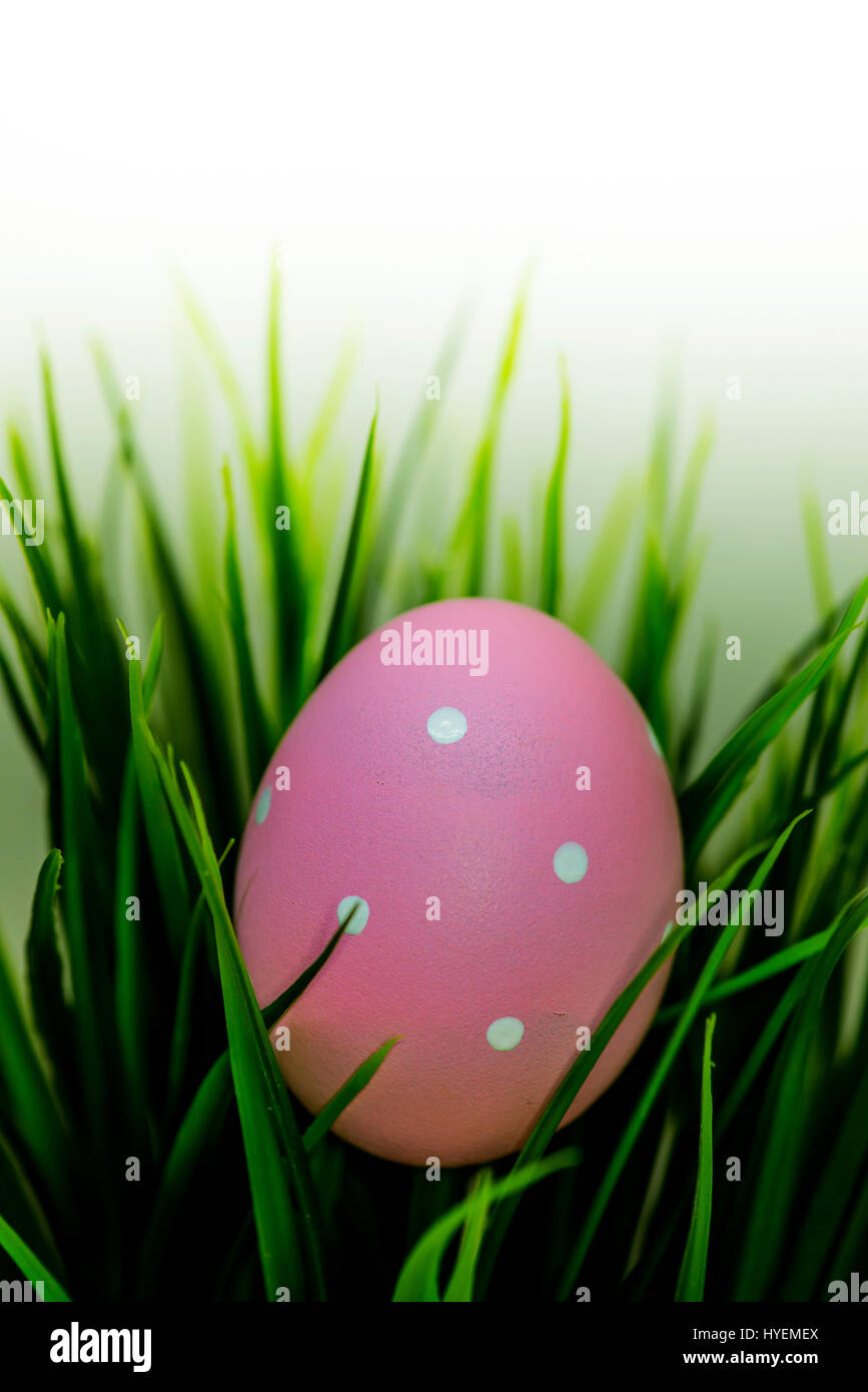 Happy Easter day, bunny and egg, Christians worldwide celebrate Stock ...