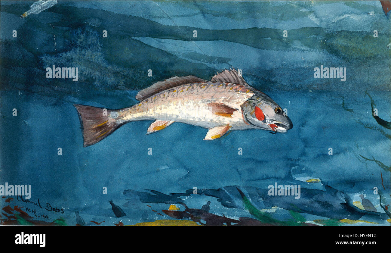 Winslow Homer Channel Bass Stock Photo - Alamy