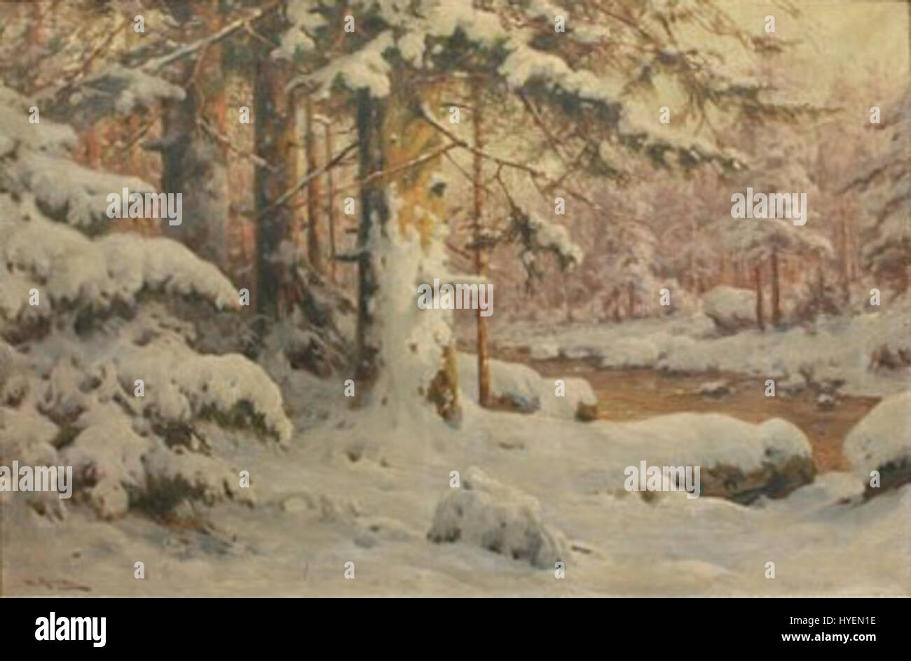 Forest in winter showcases hi-res stock photography and images - Alamy