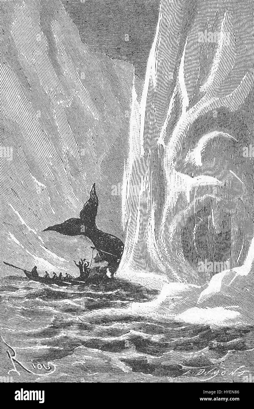 'The English at the North Pole' is an illustration by Riou and Montaut ...