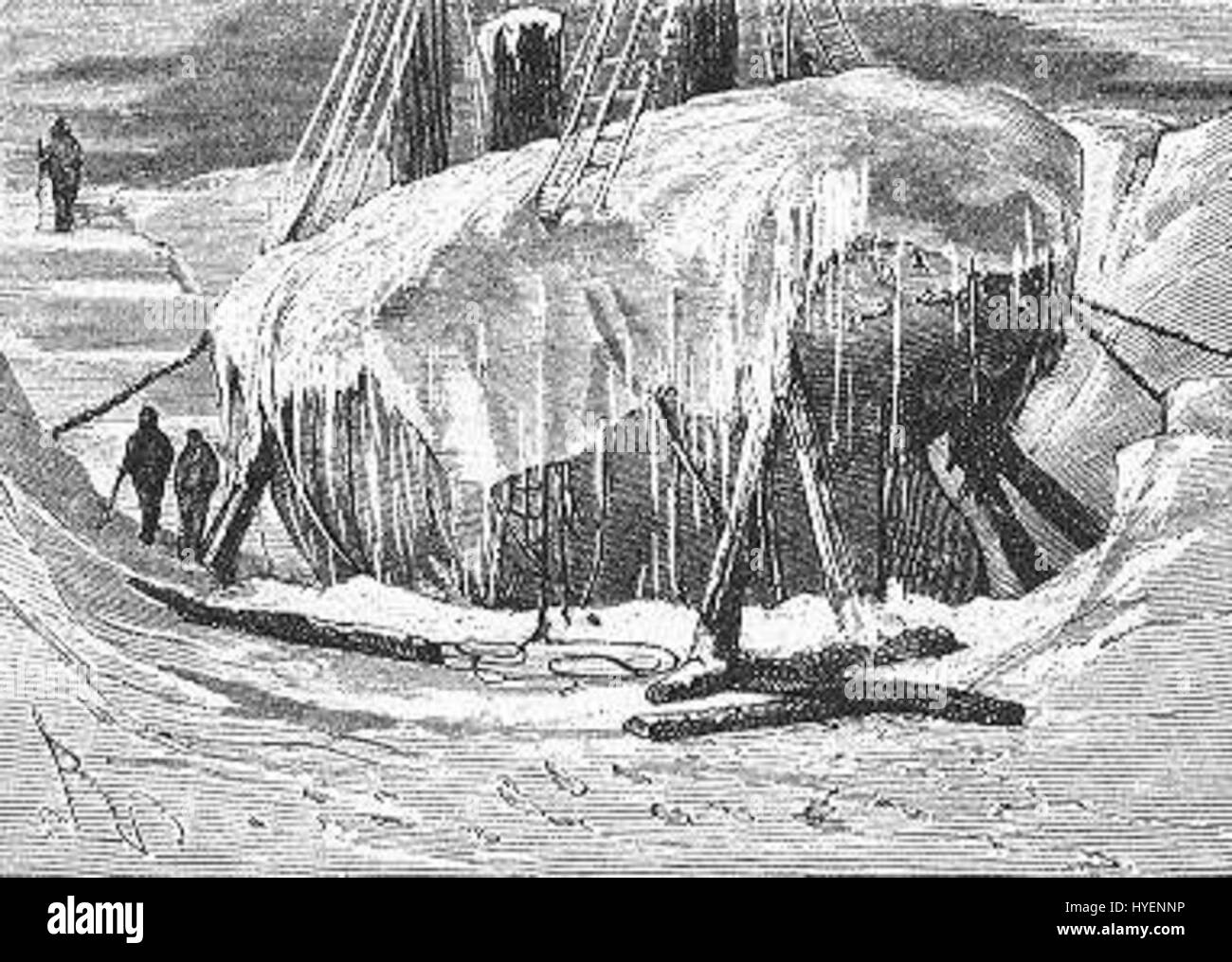 'The English at the North Pole' by Riou and Montaut captures an ...